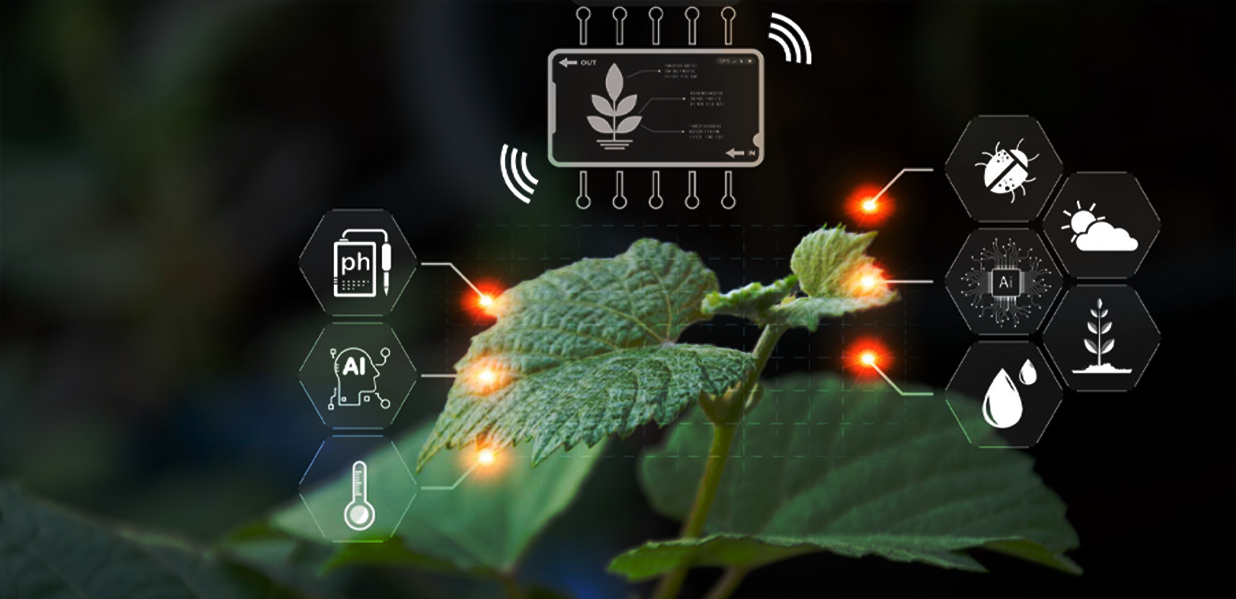 7 Ways Edge and Cloud Computing are Enhancing Agricultural Productivity 7 Ways Edge and Cloud Computing are Enhancing Agricultural Productivity